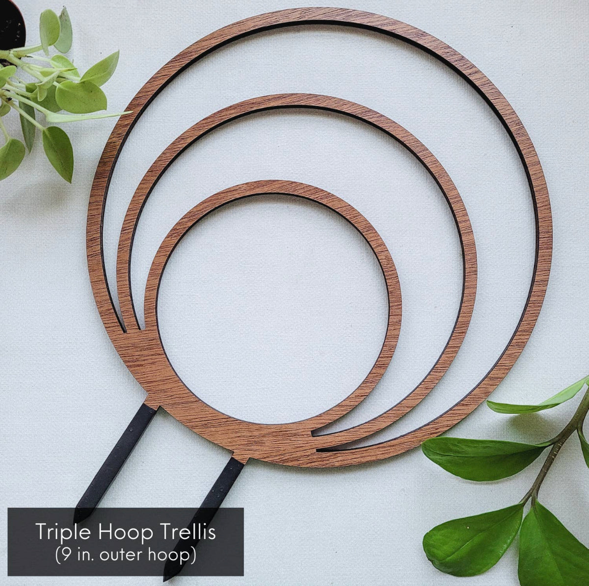 Wood Triple Hoop Indoor Plant Trellis – GaiaSoulworld